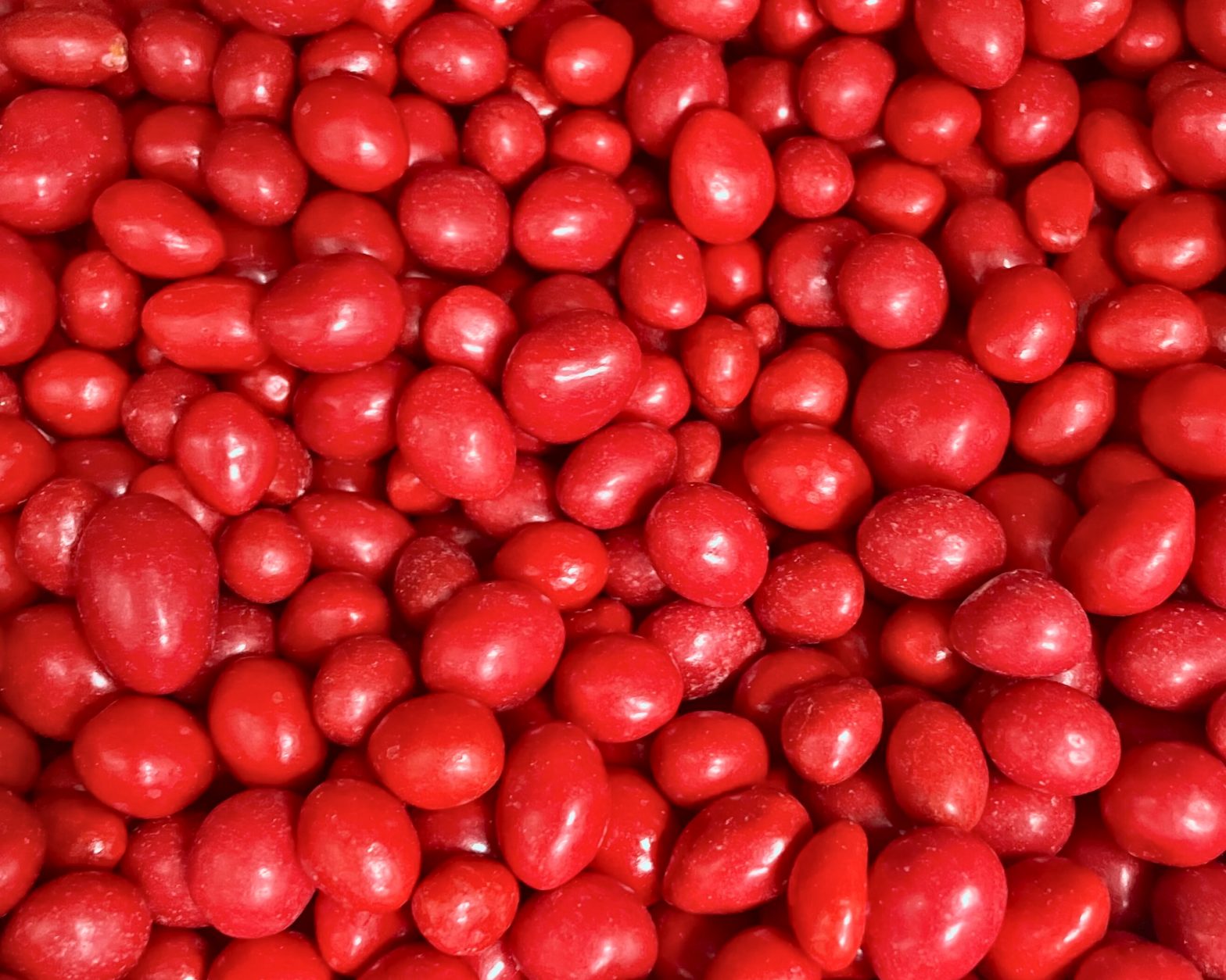 Boston Baked Bean 25 LB Case - Howe Wholesale